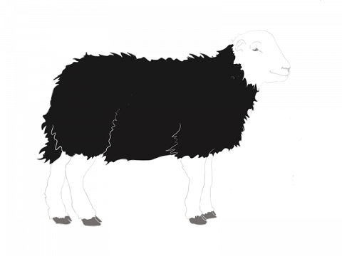 Lamb Hogget & Mutton - Heritage Meats and Foods